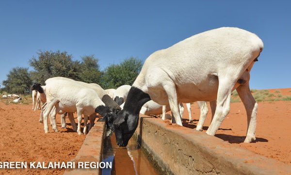 Postmasburg | Northern Cape South Africa