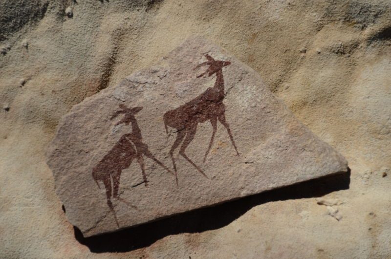Gallery_4 | Northern Cape South Africa