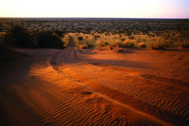 Gallery_4 | Northern Cape South Africa