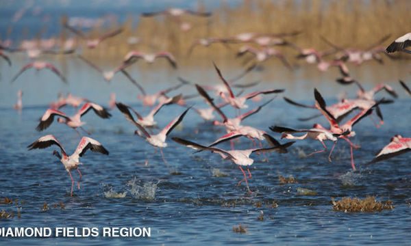 MODDER RIVER | Northern Cape South Africa