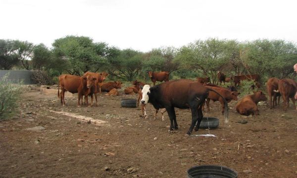 DOUGLAS | Northern Cape South Africa